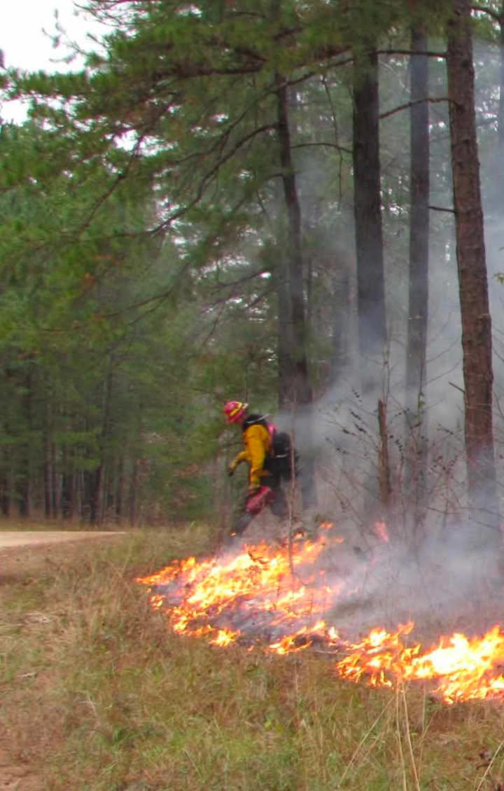 Battle continues as Sabine National Forest fire reaches 275 acres