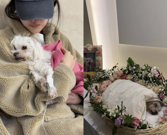 Hwang Shin-hye announced a heartbreaking farewell... I hope your ...