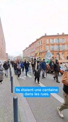 « Marche funèbre » des agriculteurs à Toulouse