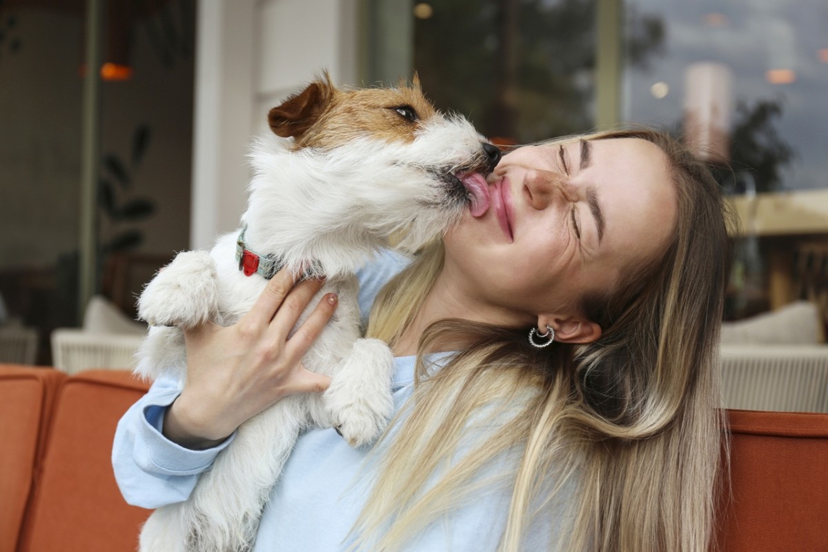 7 Signs Your Dog Would Do Anything for You, Reveal Trainers