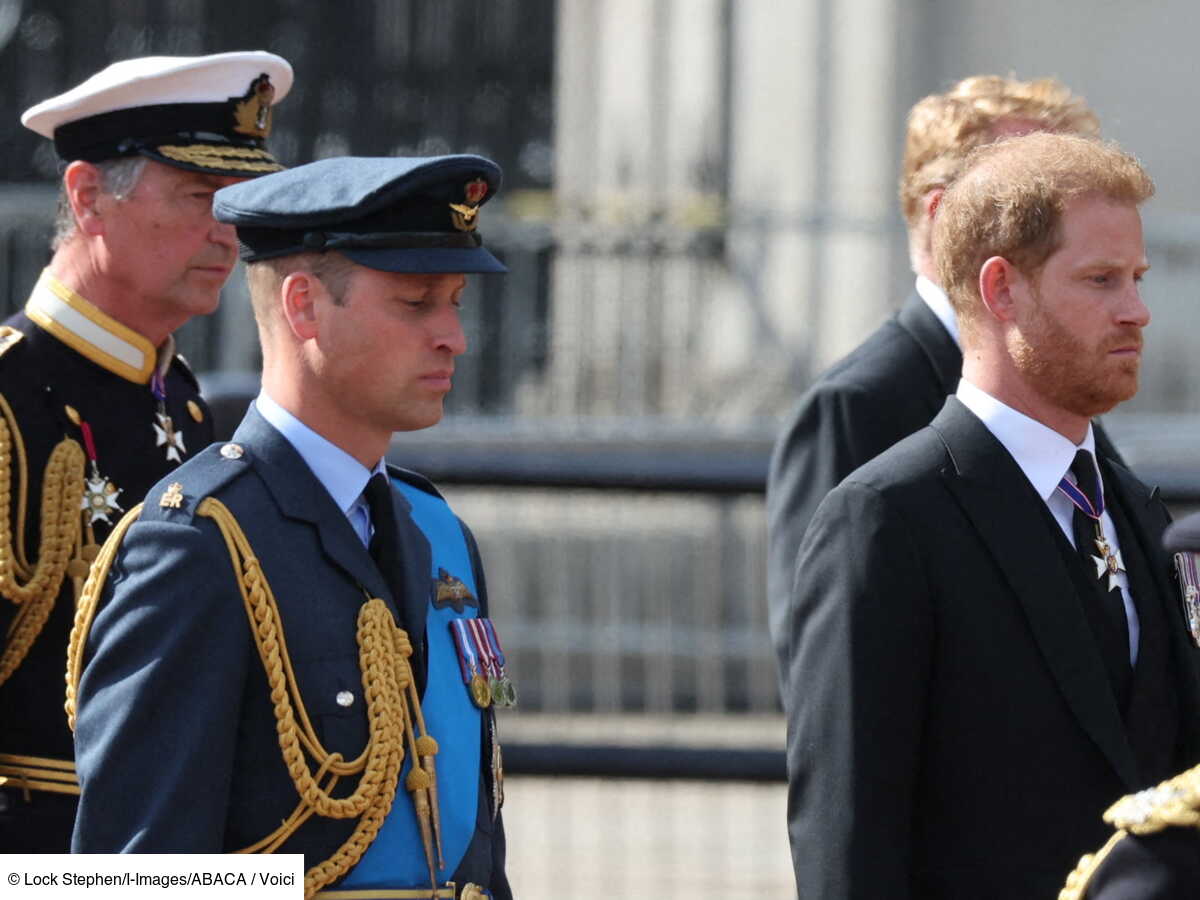 C’est terminé entre William et Harry : pourquoi le prince de Galles n ...