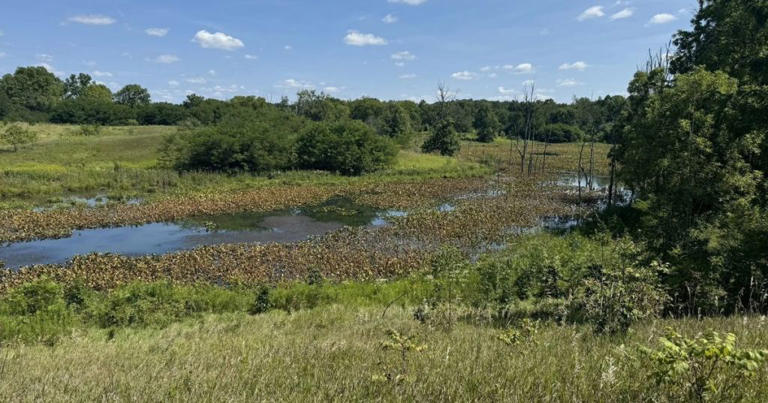 12 awesome state parks in Indiana to explore in 2026