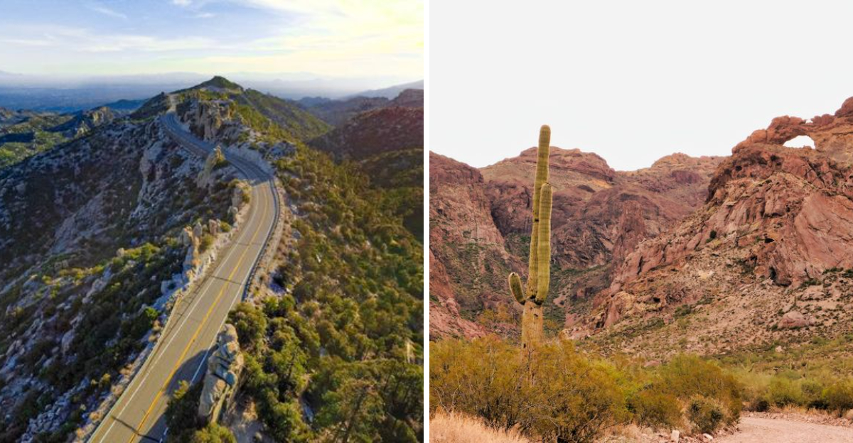 Scenic desert routes in Arizona accessible to visitors