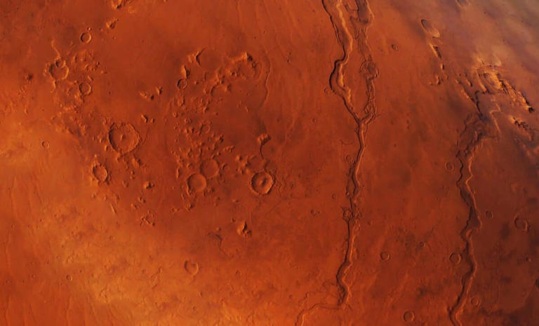 Scientists detect 'leopard spots' on Mars, and it looks a lot like life