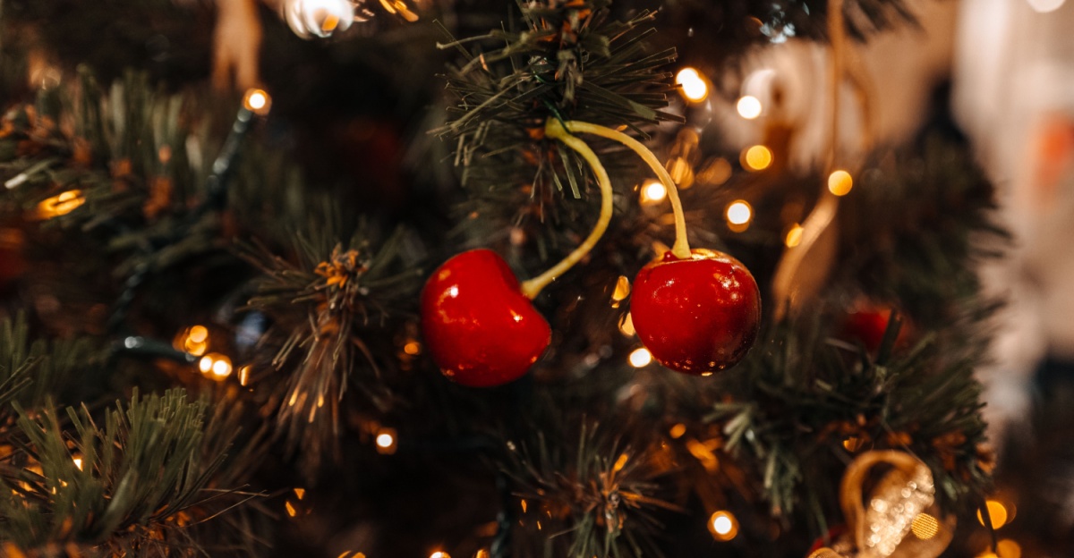 Keep Your Christmas Tree It May Save Your Garden This Winter