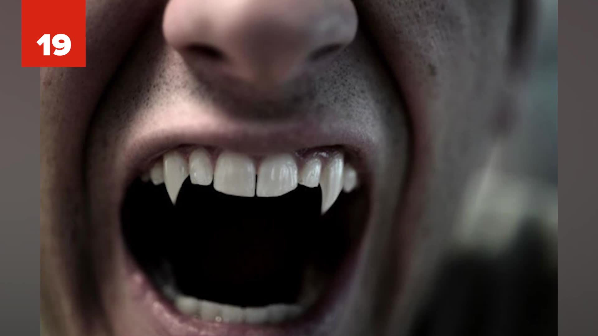 Urban legends in every US state part one