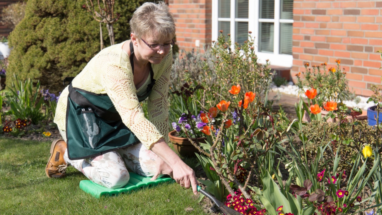 Underrated tools every gardener needs