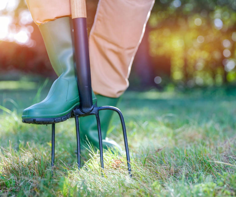 These 7 quick winter garden jobs will save you 40 hours in spring ...