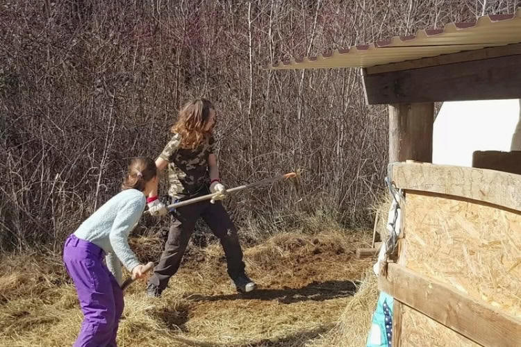 House-sitting as a travel lifestyle: How one family found freedom ...