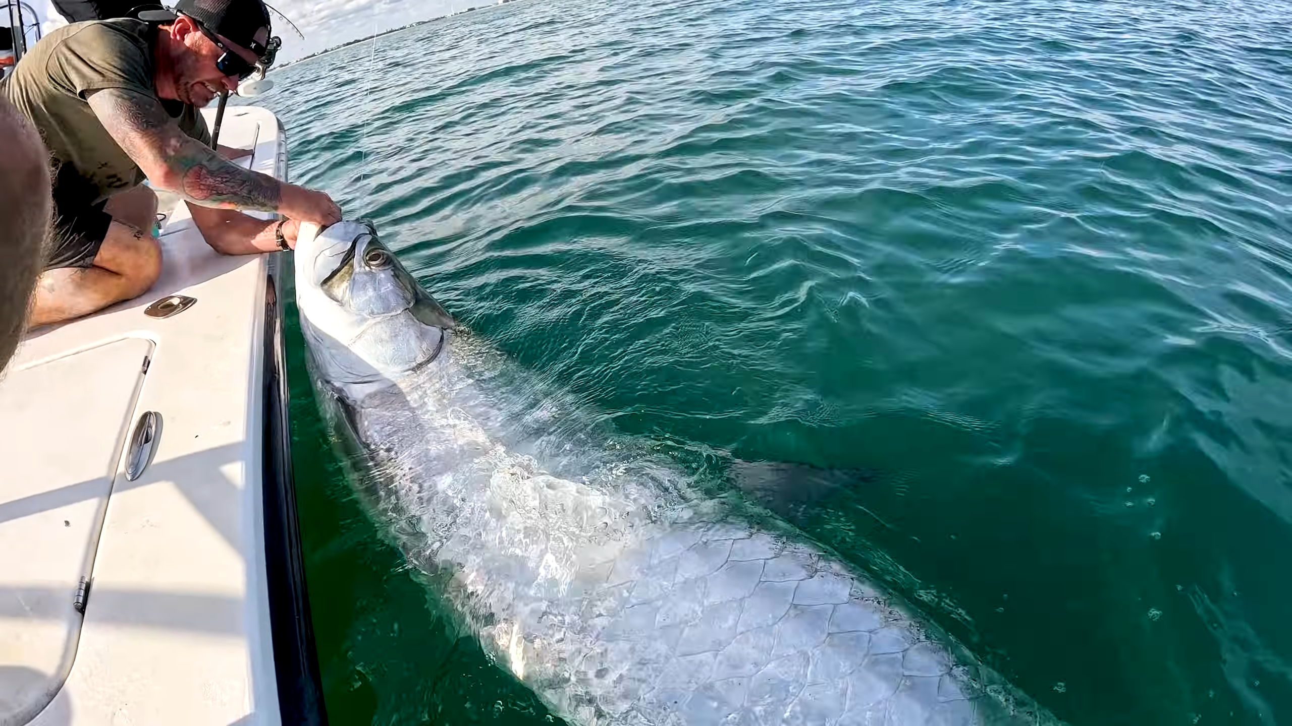 Why winter tarpon off Florida might be the best bite on earth