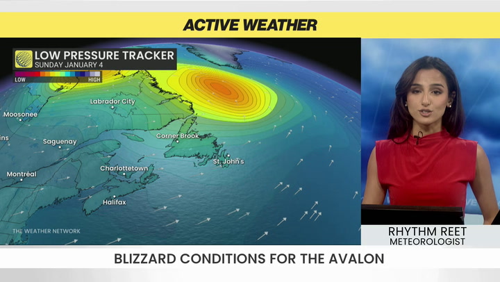 Heavy snow and strong winds to hit Newfoundland