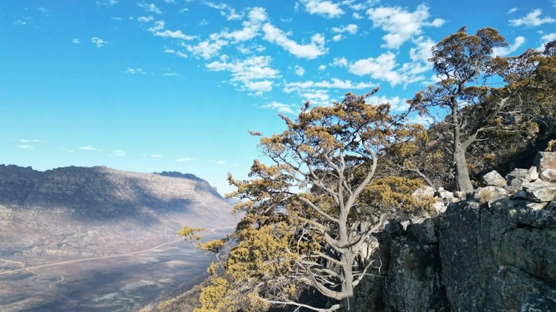 Cleaning up under way after monster Cederberg blaze