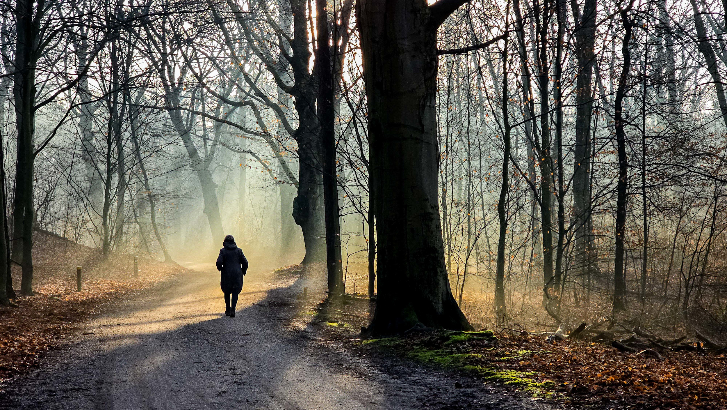 Dit was de droogste winter ooit