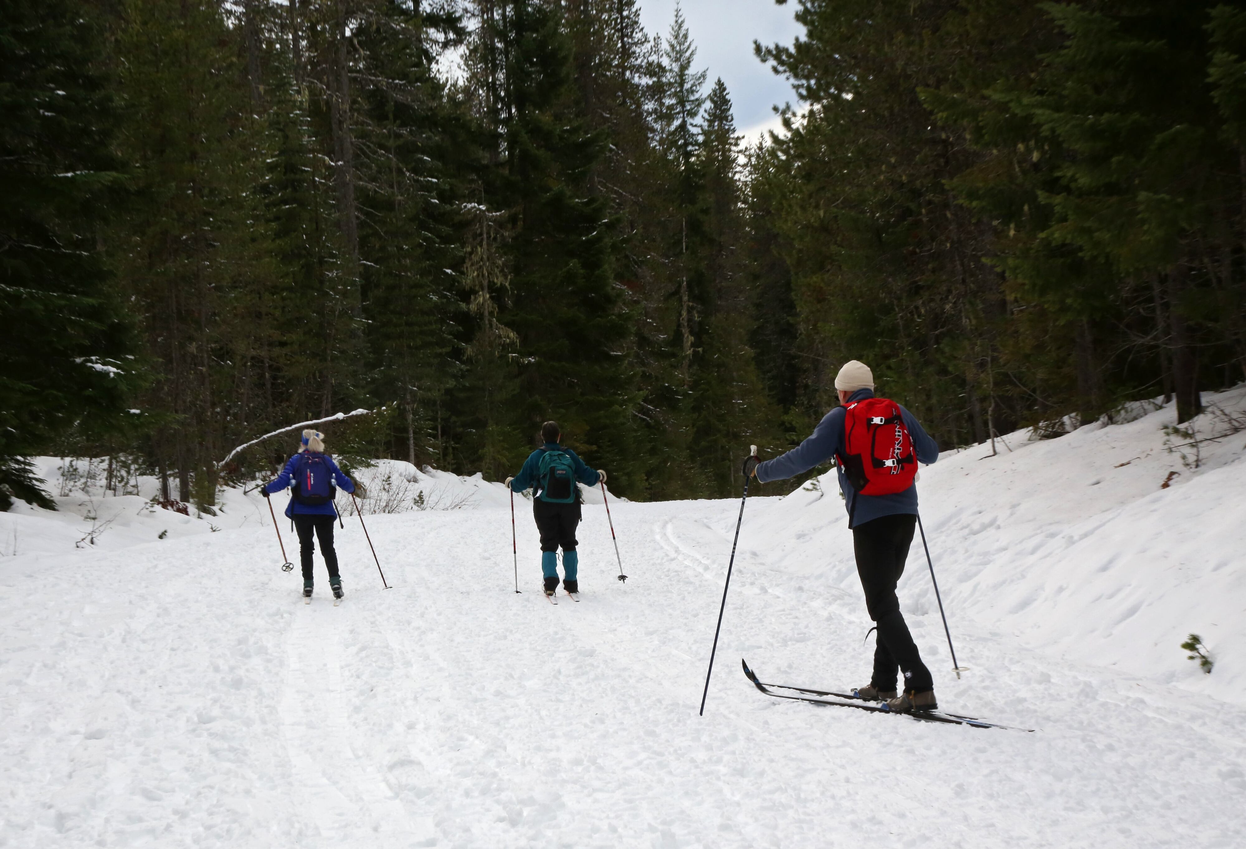 From couch to cross-country: How Jessie Diggins’ Olympic gold created a ...
