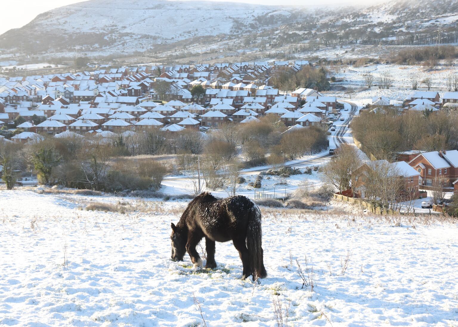Northern Ireland school closures as January freeze causes disruption