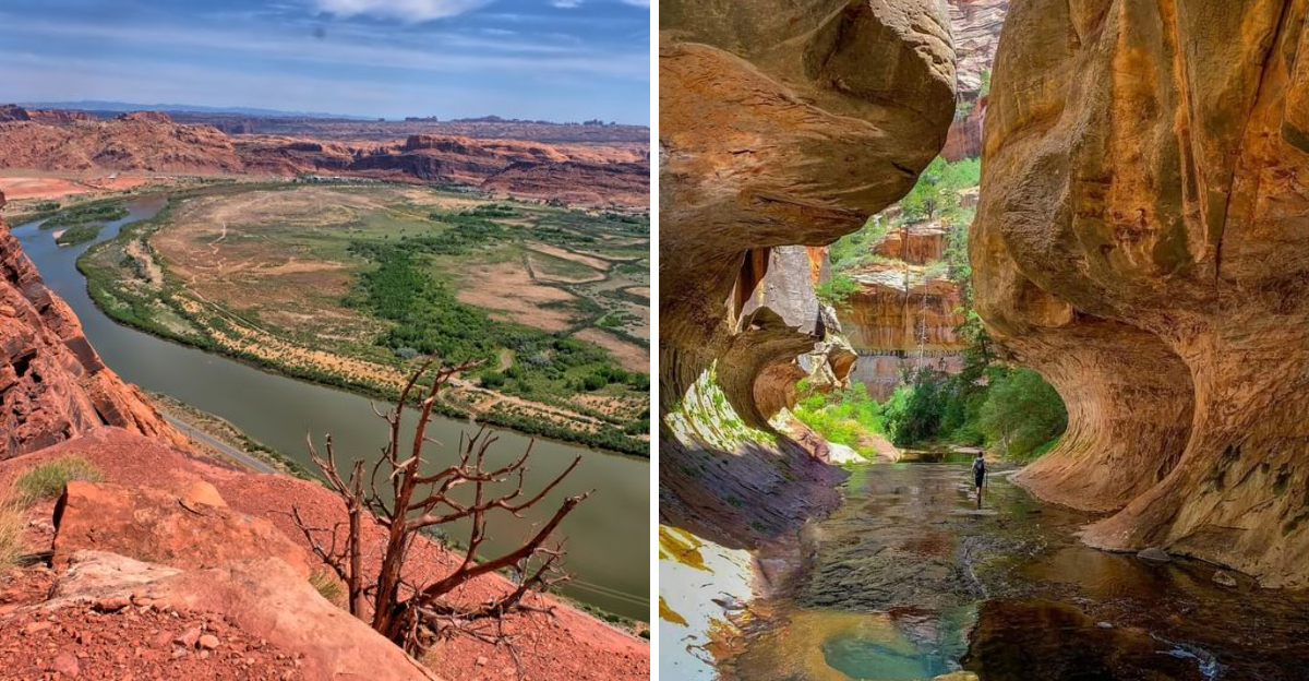 What to know before visiting Utah’s national park trails