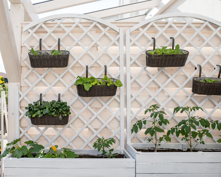 These 7 quick winter garden jobs will save you 40 hours in spring ...