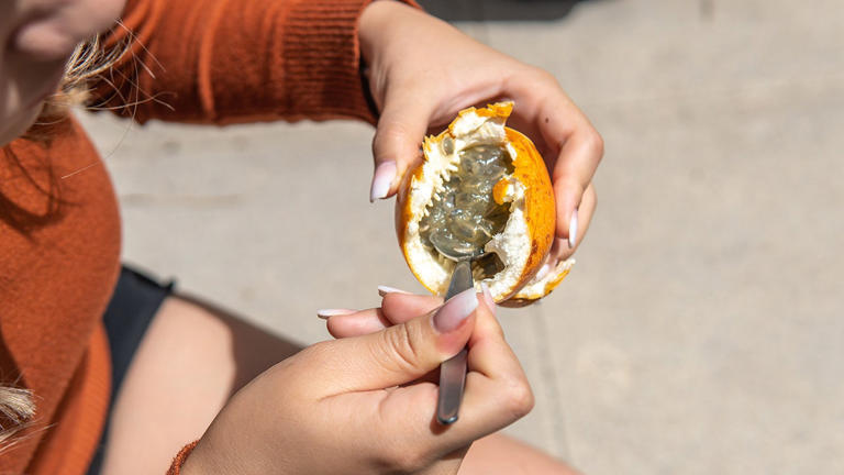 5 gut-boosting fruits to eat more of in 2026 for better digestion ...