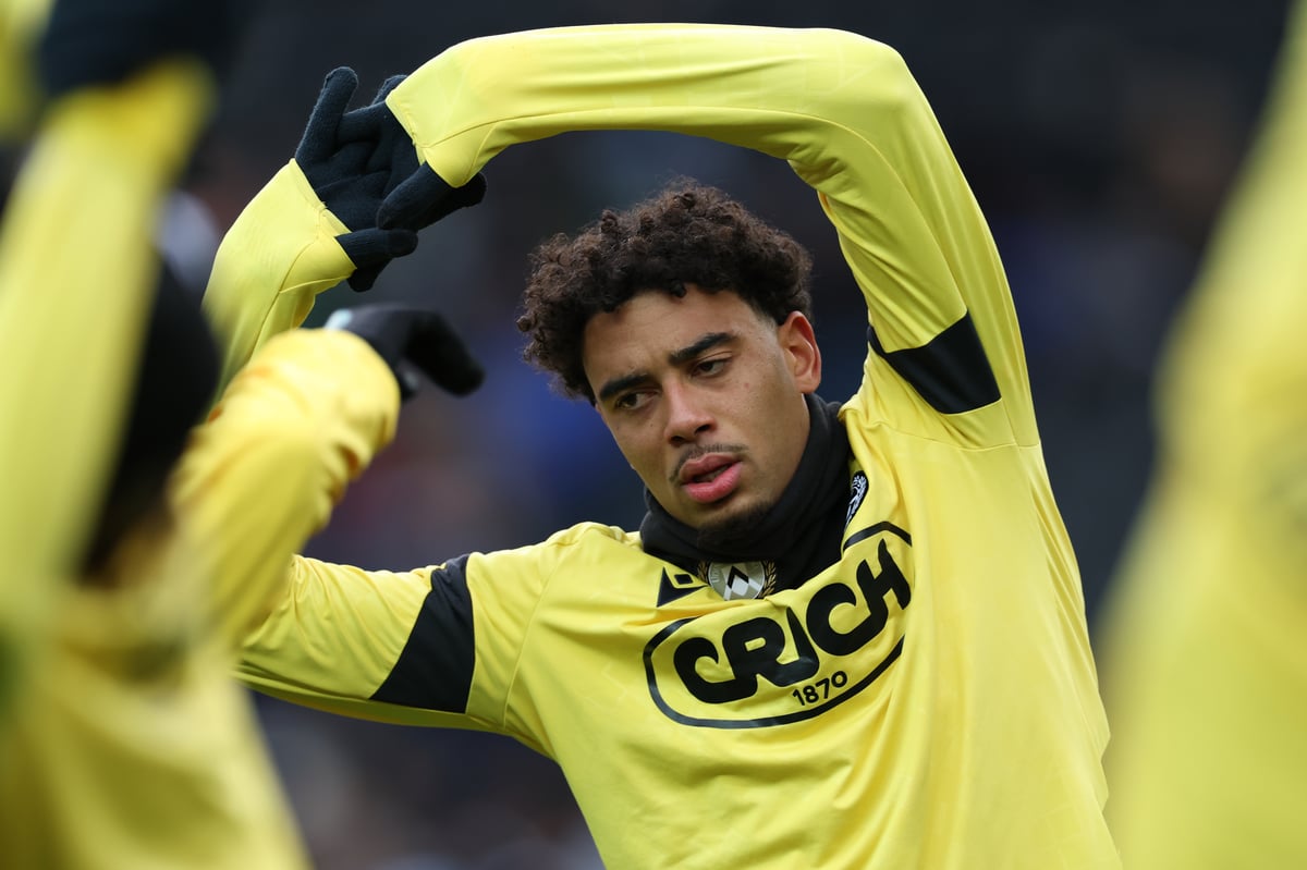 Fulham suffer transfer blow as opening bid for Serie A talent rejected