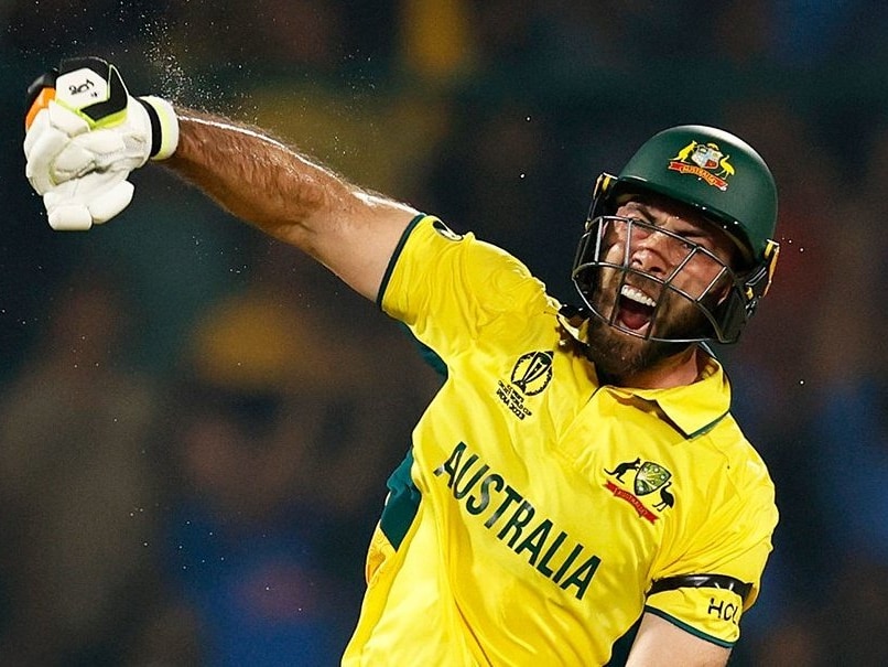 George Bailey speaks on Glenn Maxwell as potential reserve wicketkeeper ...
