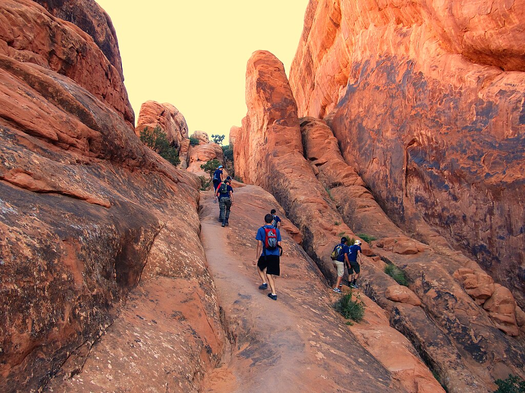 11 survival skills people overtrain and then fail to use