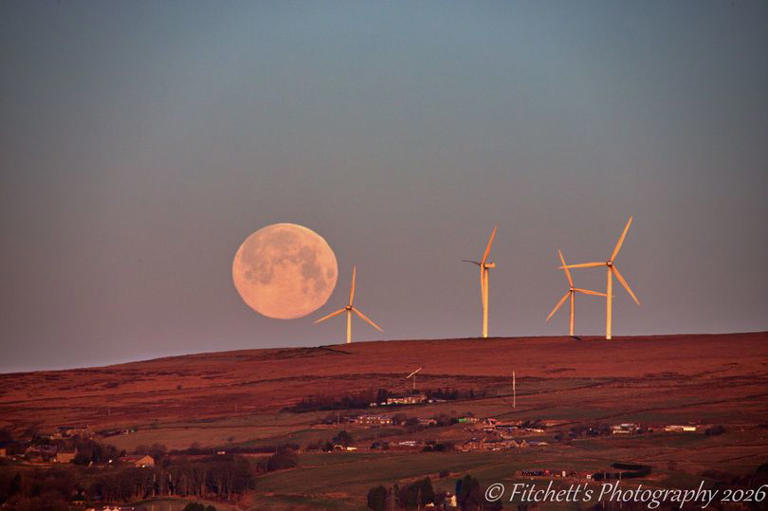 See the wolf supermoon and 'shooting stars' dazzle UK skies tonight