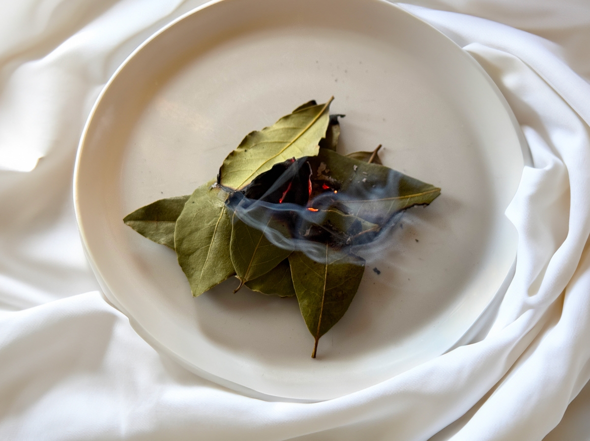 Pourquoi de plus en plus de foyers brûlent des feuilles de laurier ...