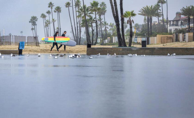 Health officials urge beachgoers to avoid ocean water at LA County ...