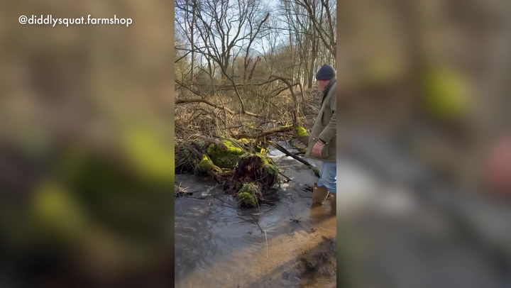 Watch: Jeremy Clarkson shows off beautiful unseen corners of Diddly ...