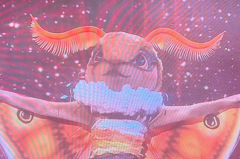 Masked Singer's Moth has identity rumbled 'in seconds' as girl group ...