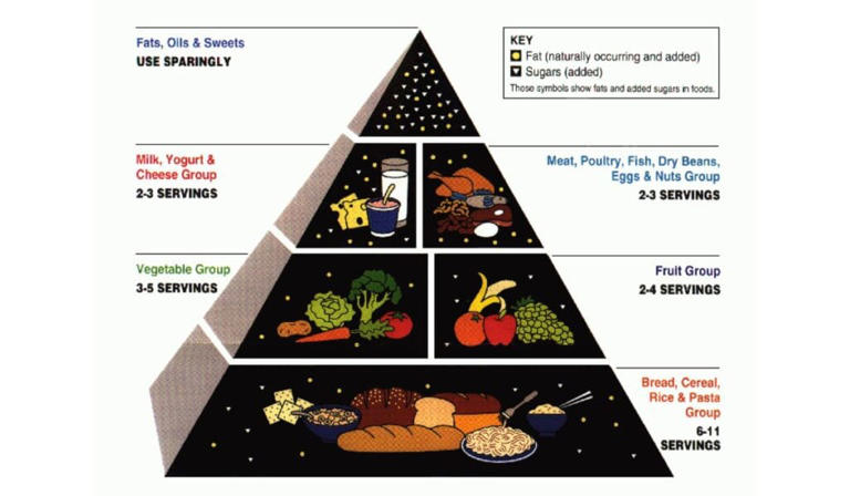 I wasn’t crazy: The basic seven food groups were real