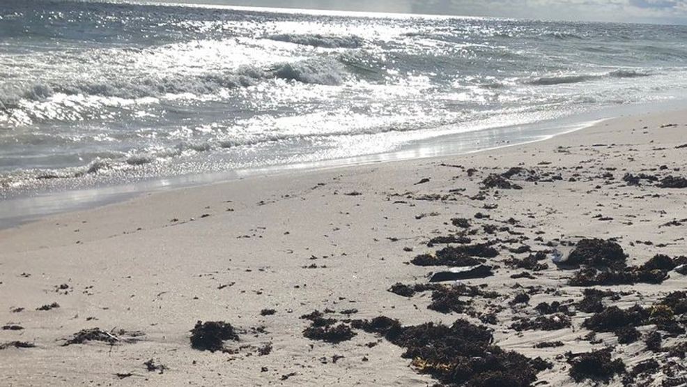 Artillery weapon washes ashore at Pepper Park Beach, prompting partial ...