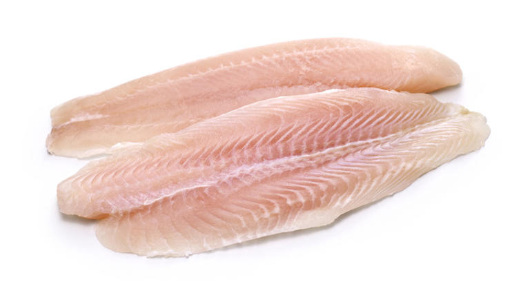 8 types of fish cuts, explained