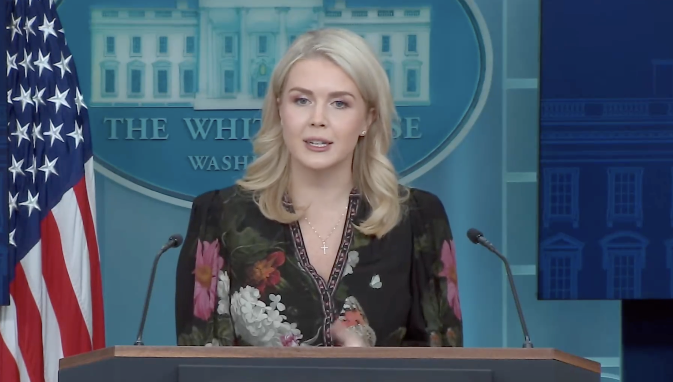 'It's absolutely true': Karoline Leavitt lies with a straight face ...