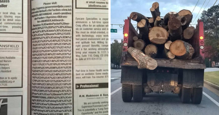 48 times “idiots at work” showed just how stupid humans can be