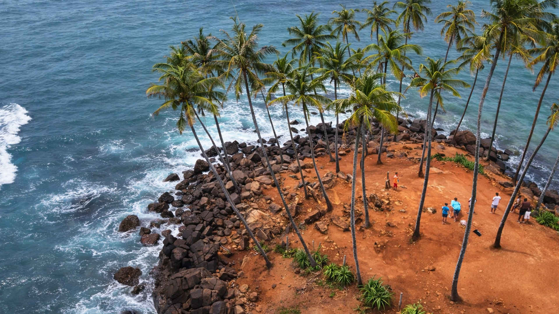 Why everyone talks about Coconut Tree Hill