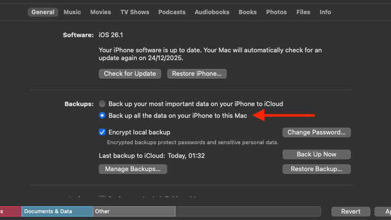 How to clear system data on iPhone (the only way that works)