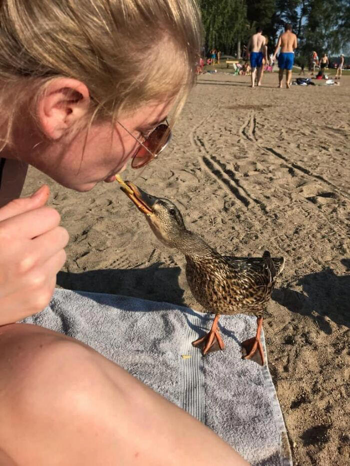 31 weird and funny pics from this Facebook page prove that humans are ...