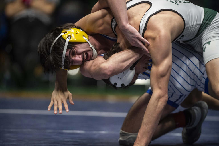 Freeland pins down Saginaw County wrestling title behind six champions