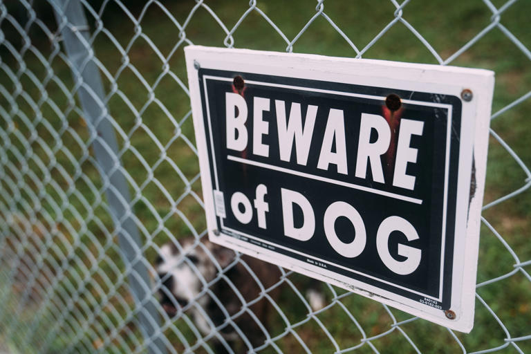 Ohio Senate votes to overhaul vicious dog laws following newspapers ...