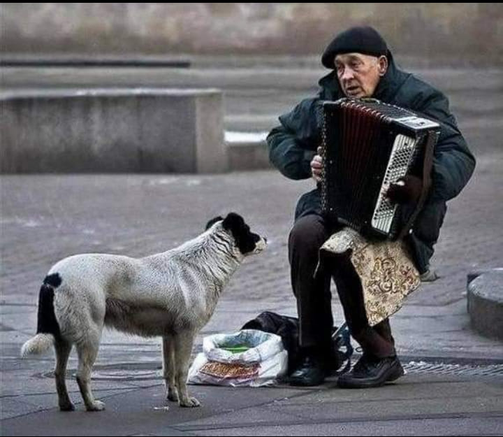 Chiedeva l’elemosina per strada, ma nello zaino aveva solo cibo per il ...
