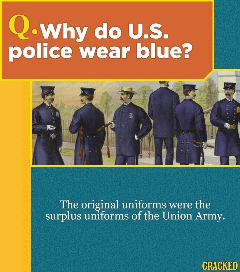 13 answers to questions we never thought to ask