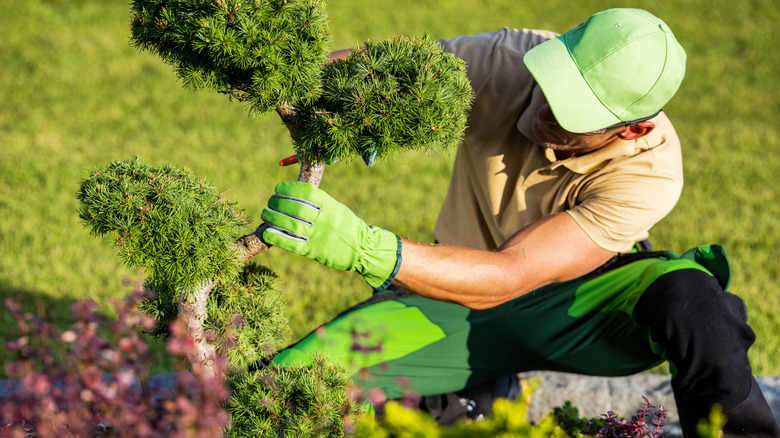 What is an appropriate amount to pay a gardener in 2026?