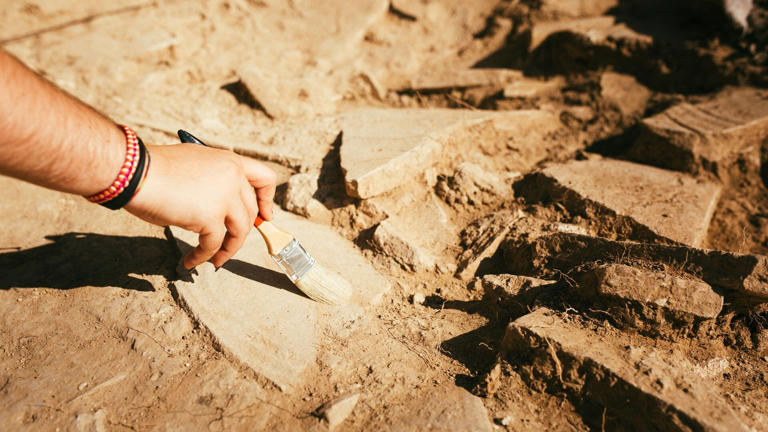 Hallazgo científico confirma que uno de los primeros ancestros humanos ...