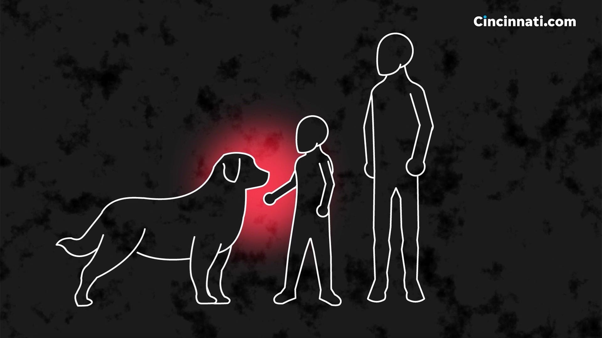 Thousands of Ohioans are attacked by dogs each year. How to avoid bites ...