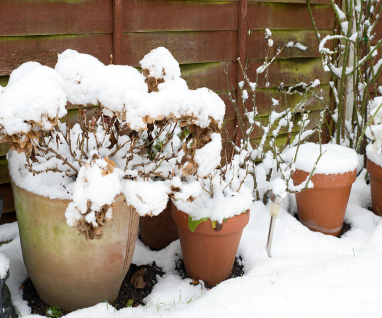 Stop replacing cracked pots – expert tips for 5 best frost-proof containers