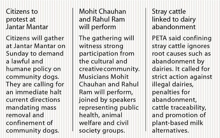 PETA India opposes lifelong confinement of stray animals