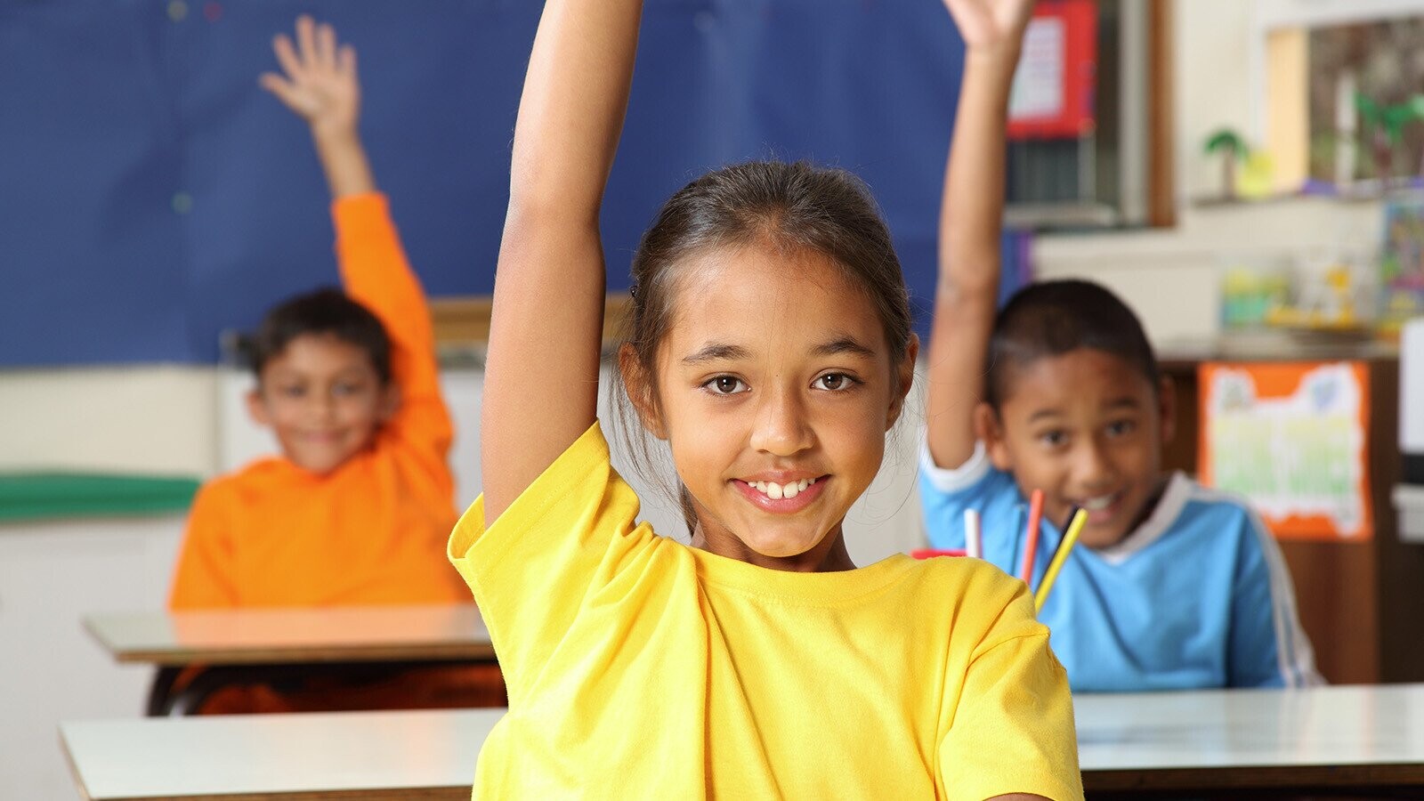 13 answers to questions we never thought to ask