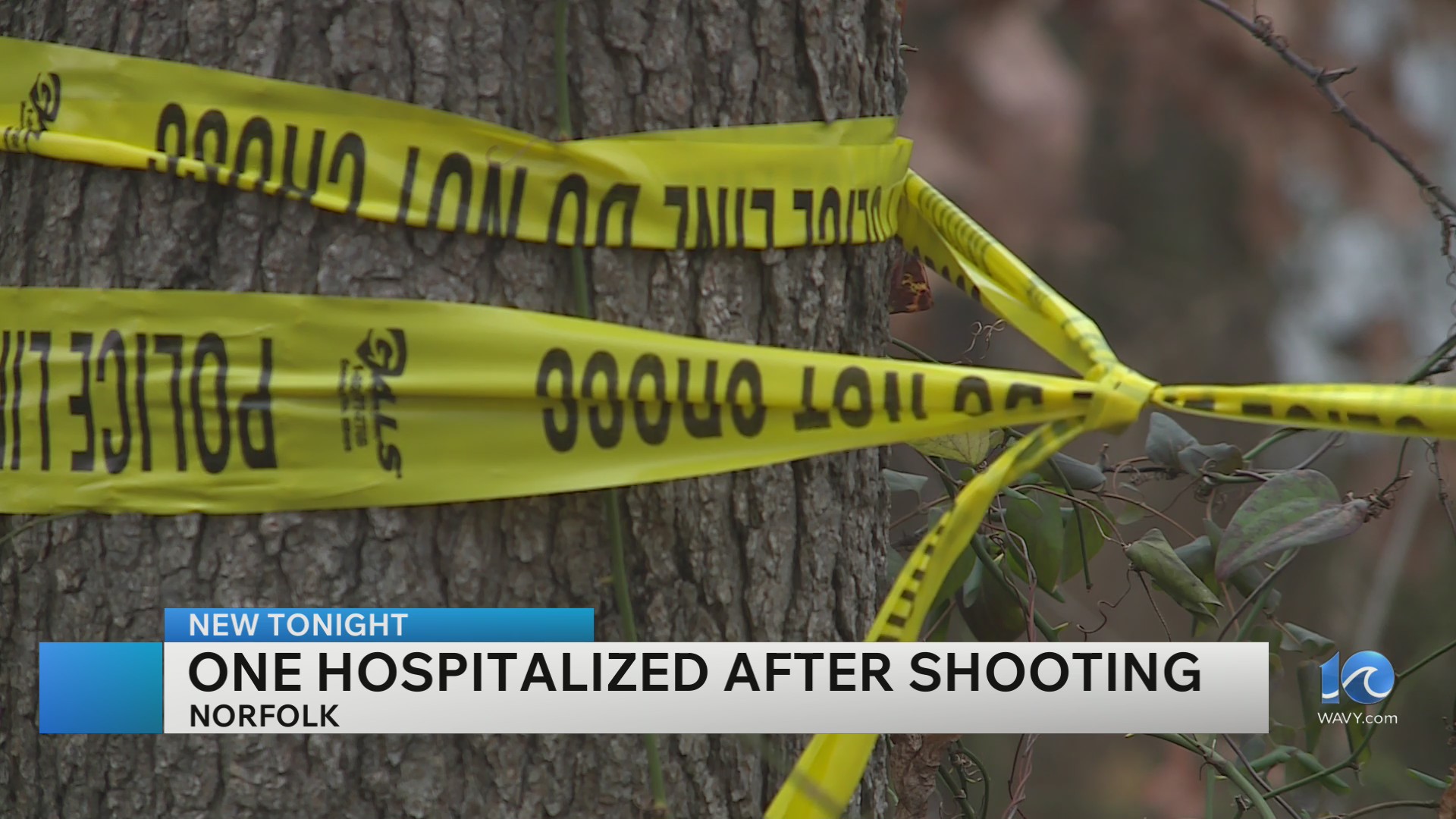 Norfolk police investigate shooting on Lowery Road