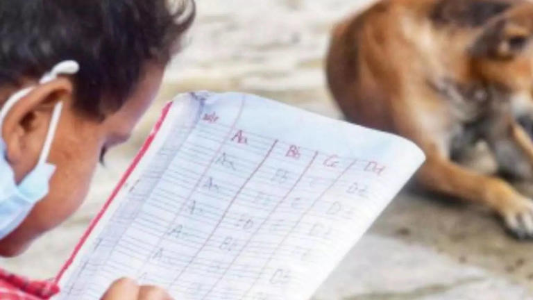 Who guards the school gate? The stray-dog row that put teachers on the ...